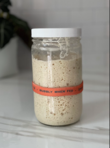 How To Start A Starter: Step-by-Step Instructions